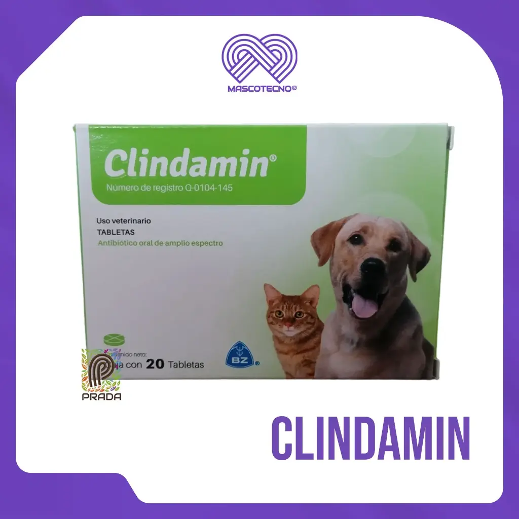 CLINDAMIN X 20 TABLETAS | MASCOTECNO